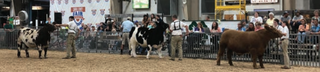 2025 Carroll County Fair Livestock Sale | Carroll County 4H & FFA Fair